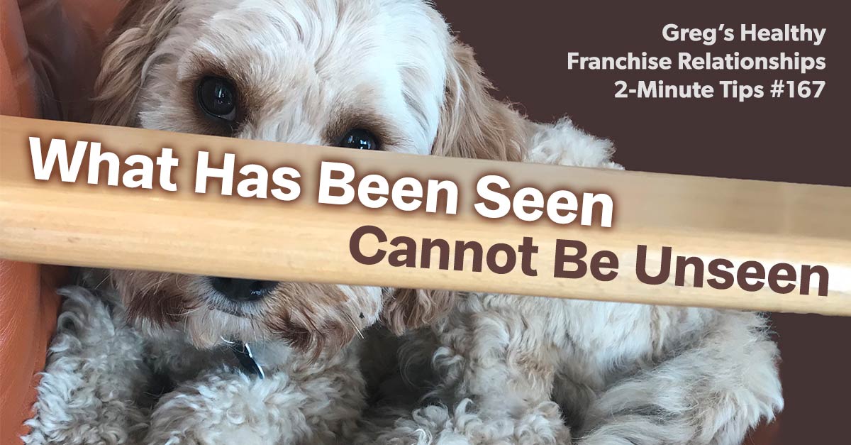 What Has Been Seen Cannot be Unseen - FRI: Franchise Relationships ...