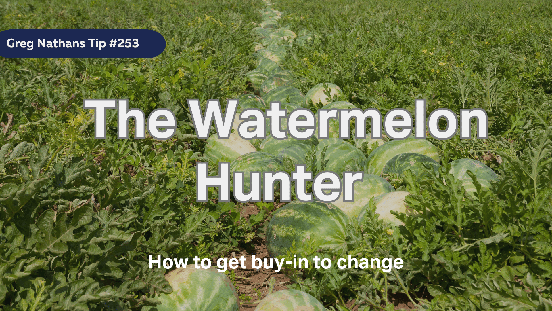 The Watermelon Hunter - FRI: Franchise Relationships Institute